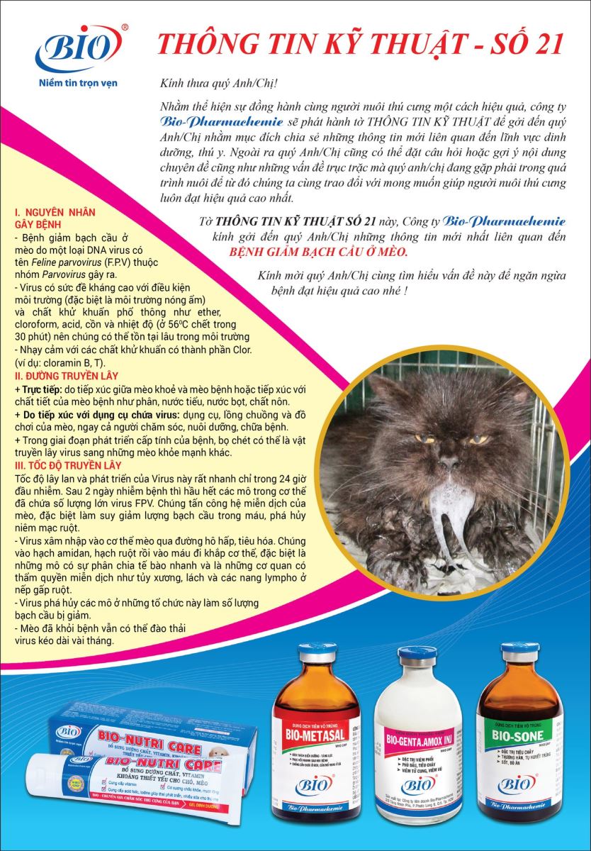 BỆNH GIẢM BẠCH CẦU Ở MÈO - Thông tin kỹ thuật - BIO PHARMACHEMIE